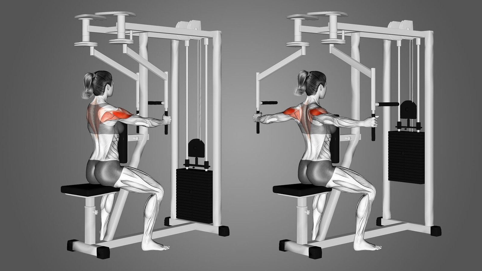 Reverse Pec Deck Power Guide for Stronger Shoulders 2025 - The Expert ...
